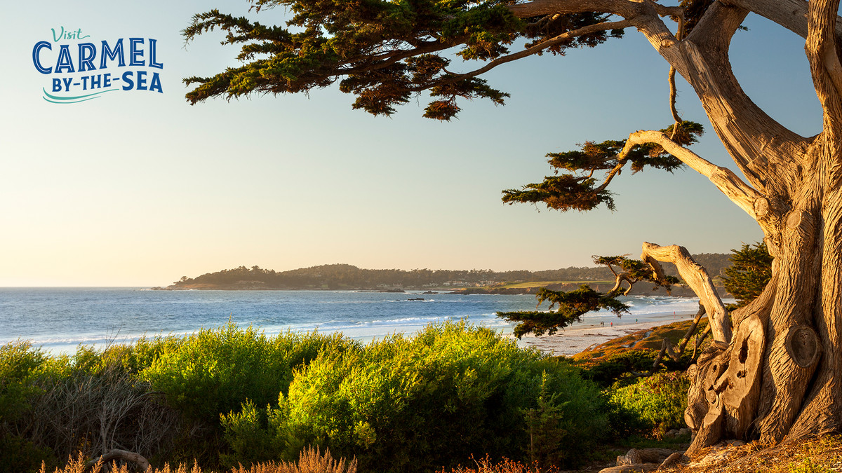 Download free ZOOM backgrounds of Carmel-by-the-Sea | Carmel-by-the-Sea ...