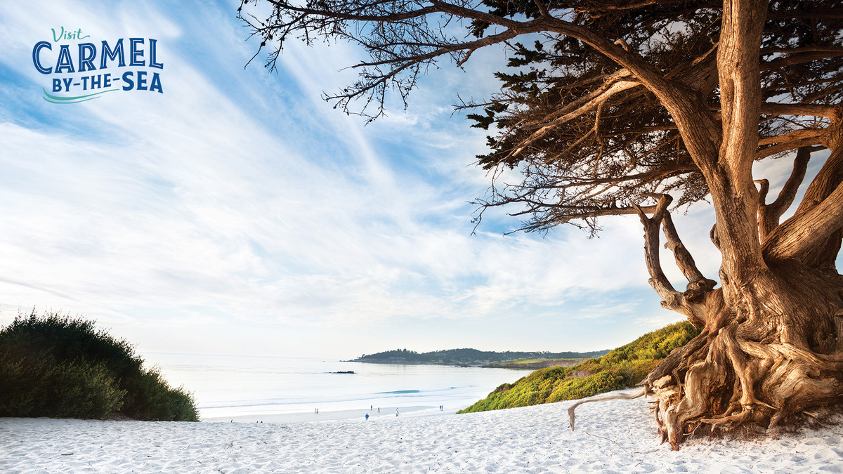 Download free ZOOM backgrounds of Carmel-by-the-Sea | Carmel-by-the-Sea ...